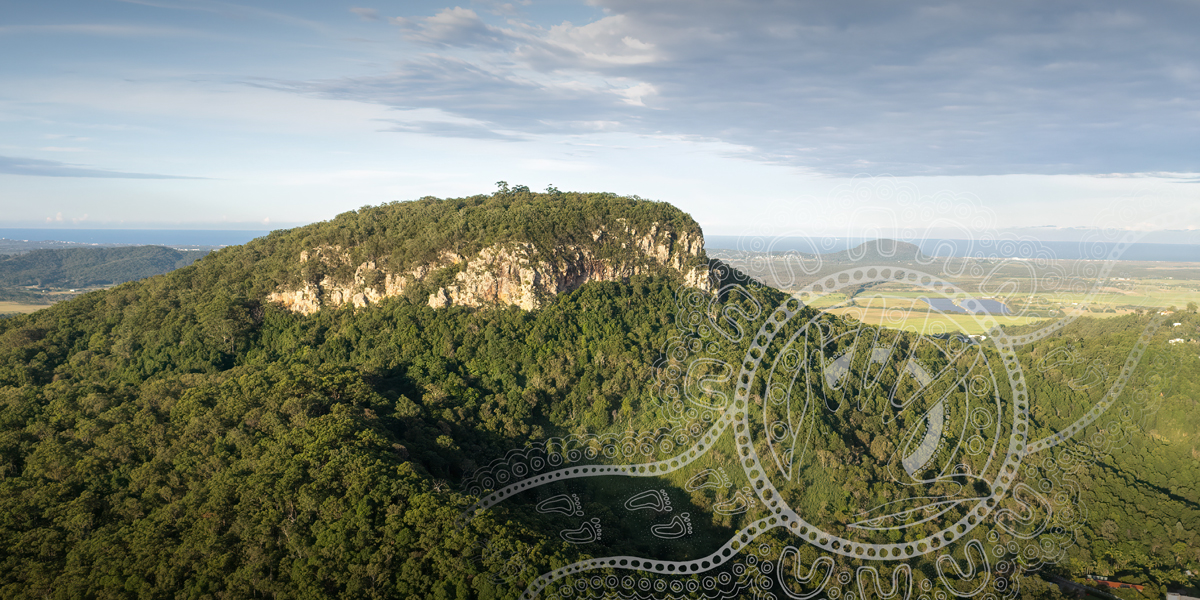 Mount Ninderry Environment Reserve Draft Landscape Plan | Have your Say ...