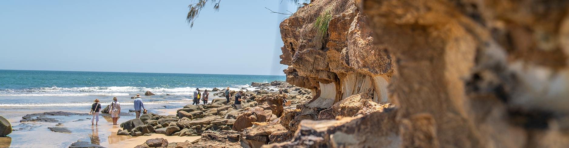 Point Cartwright and La Balsa Park Master Plan | Have your Say Sunshine ...