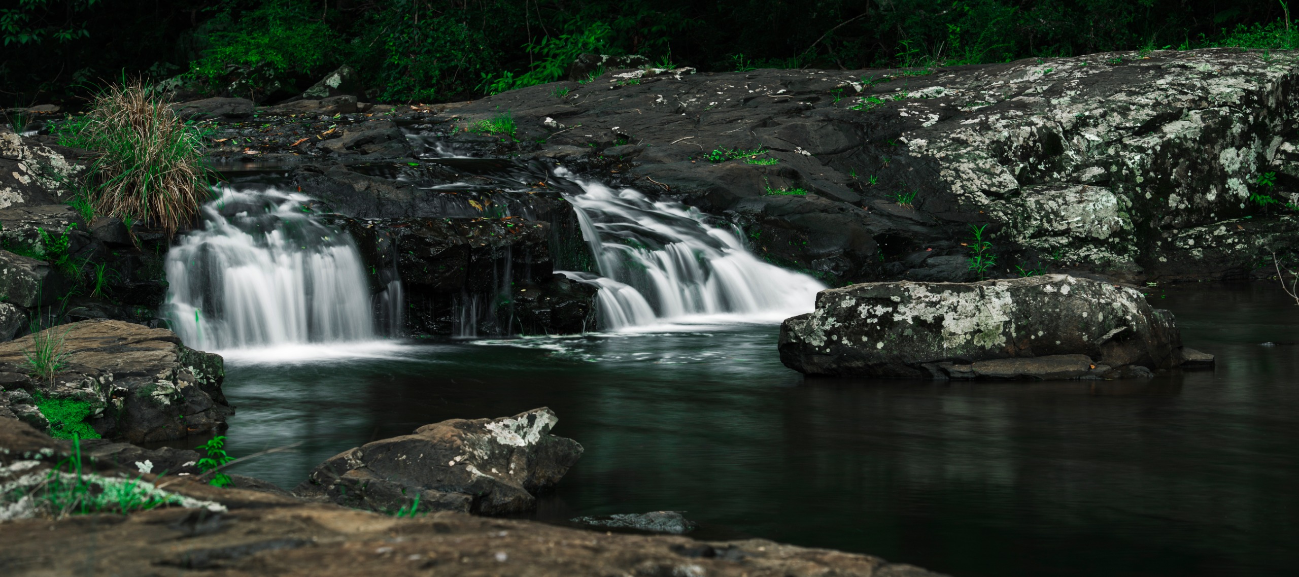 Signage at Gardners Falls, Maleny | Have your Say Sunshine Coast